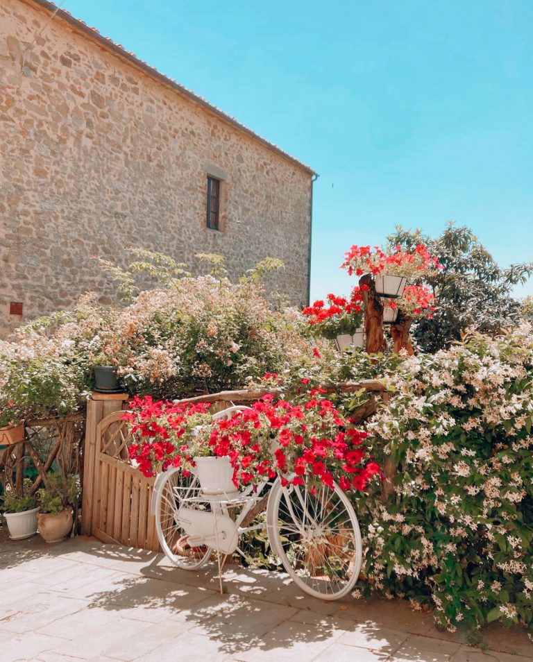 Scansano: cosa vedere e cosa fare in questo borgo in Maremma