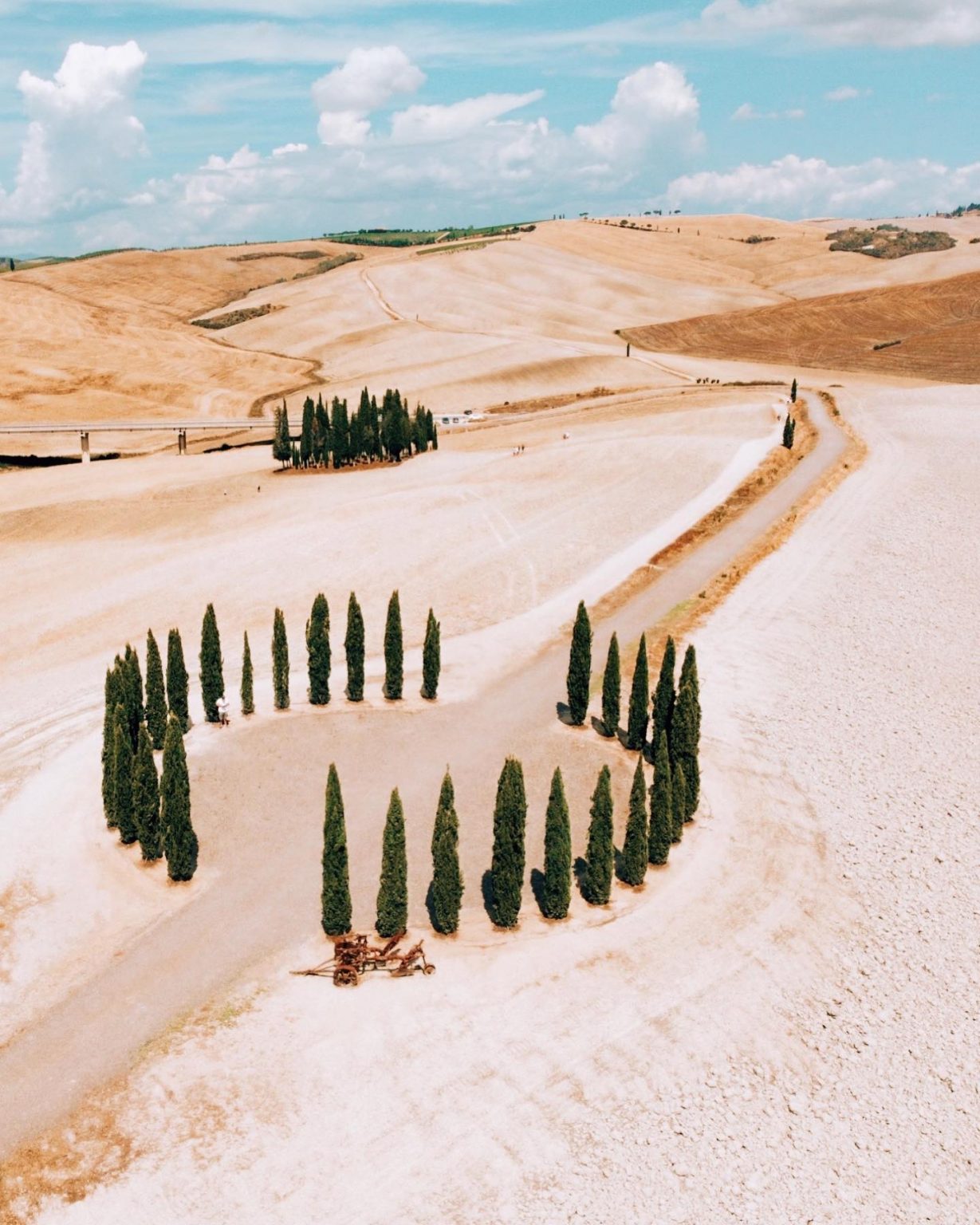 Cosa fare e cosa vedere in Val d'Orcia: visita ai Cipressi di San Quirico | Borghi Toscana