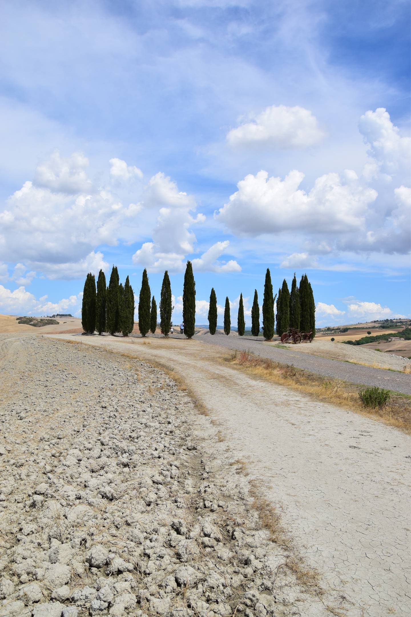 Cosa fare e cosa vedere in Val d'Orcia: visita ai Cipressi di San ...