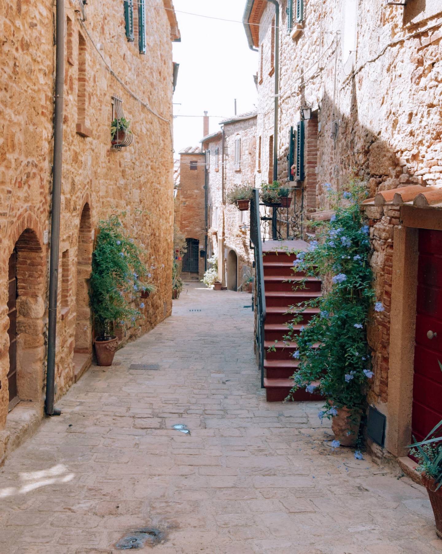 Bibbona, cosa vedere in questo piccolo borgo della Costa degli Etruschi ...