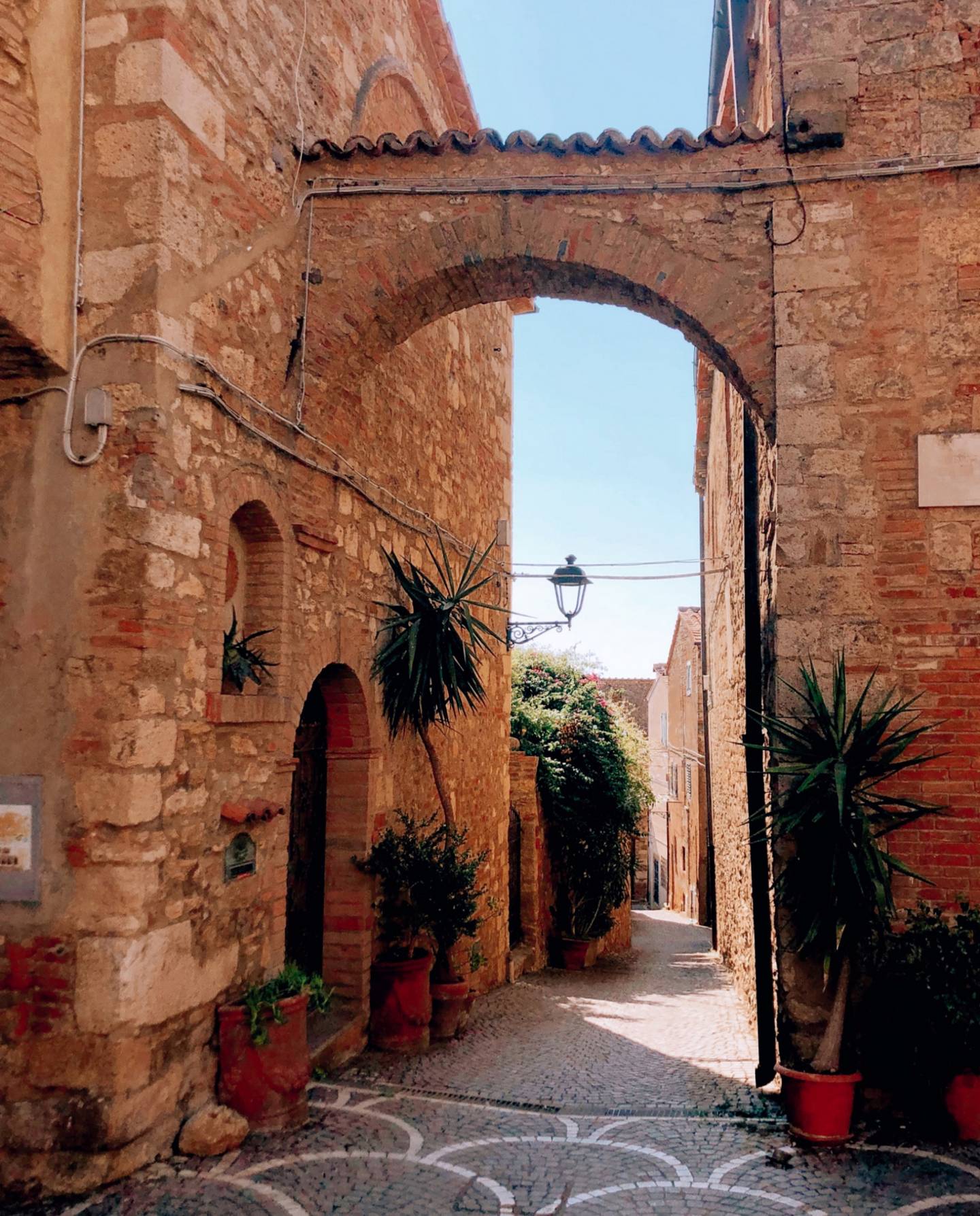 Bibbona, cosa vedere in questo piccolo borgo della Costa degli Etruschi ...