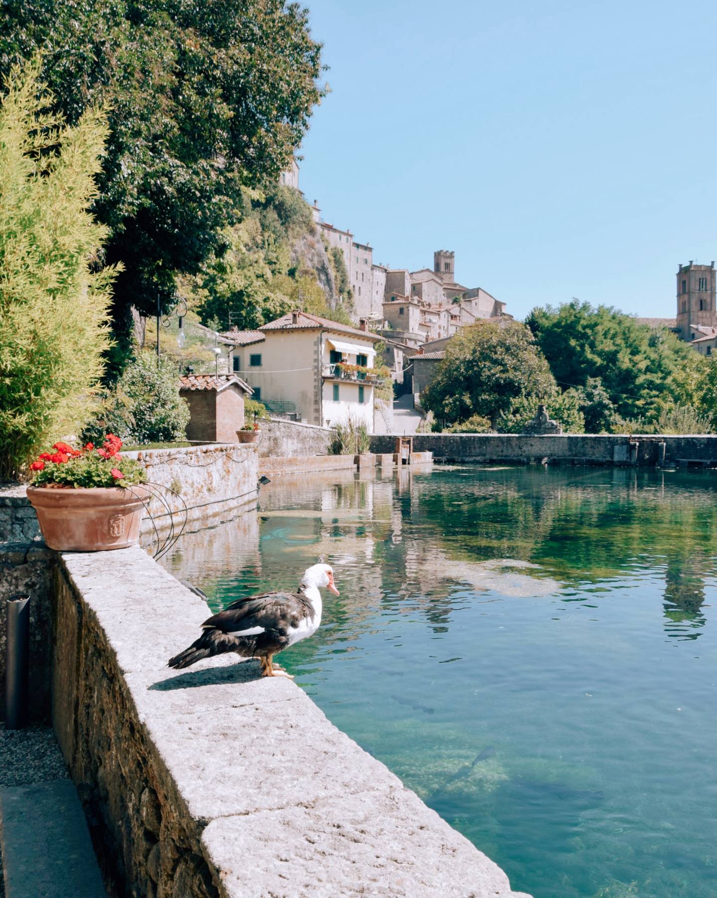 Santa Fiora, cosa vedere e cosa fare in questo bellissimo borgo sul ...