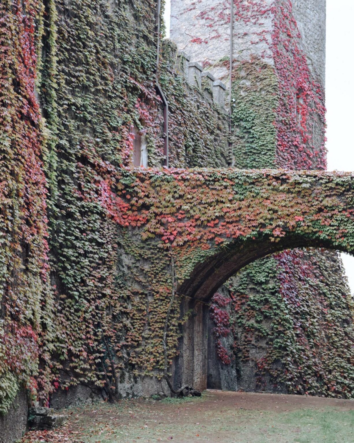 Il magnifico Castello di Celsa a Sovicille | Borghi Toscana