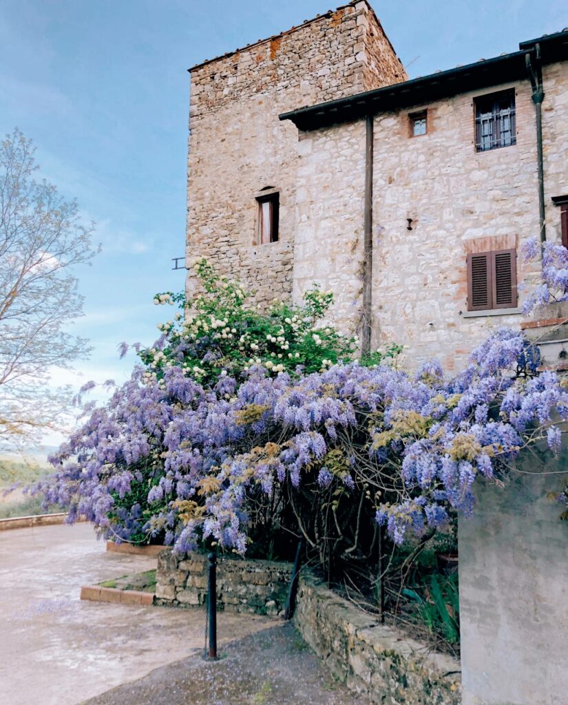 Castellina in Chianti: cosa vedere e cosa fare in questo borgo nel ...
