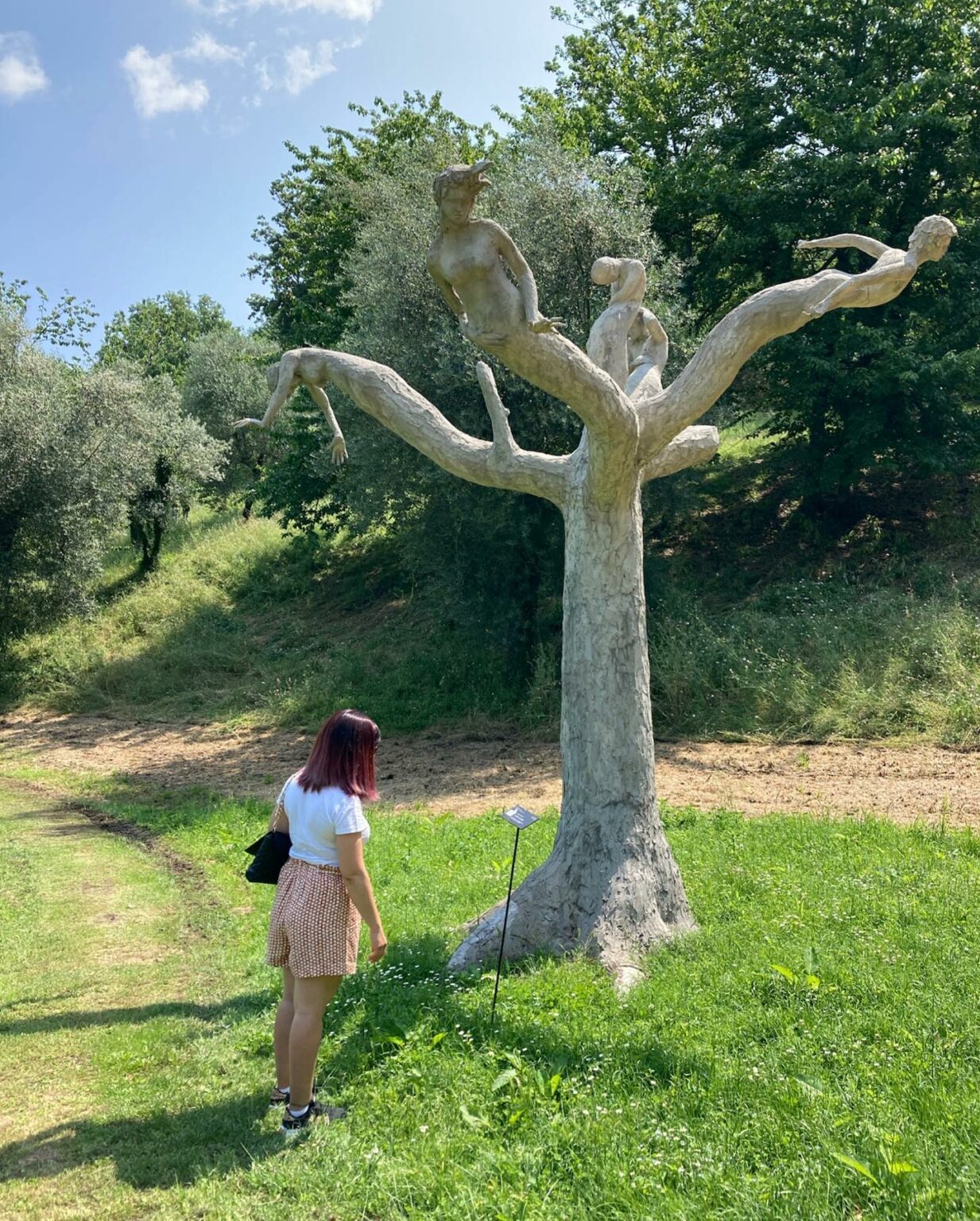 Cosa fare sul Monte Amiata: visitare il Giardino di Daniel Spoerri ...