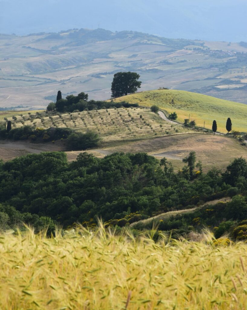 Castiglioncello del Trinoro, cosa vedere in questo borgo terrazza sulla Val d'Orcia | Borghi Toscana
